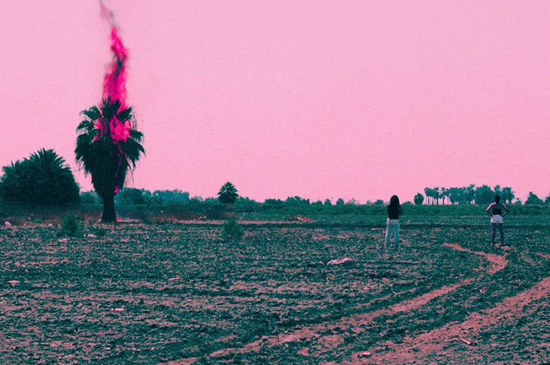 Eco-Surrealism: A Reading List from Julie Howd – Host Publications