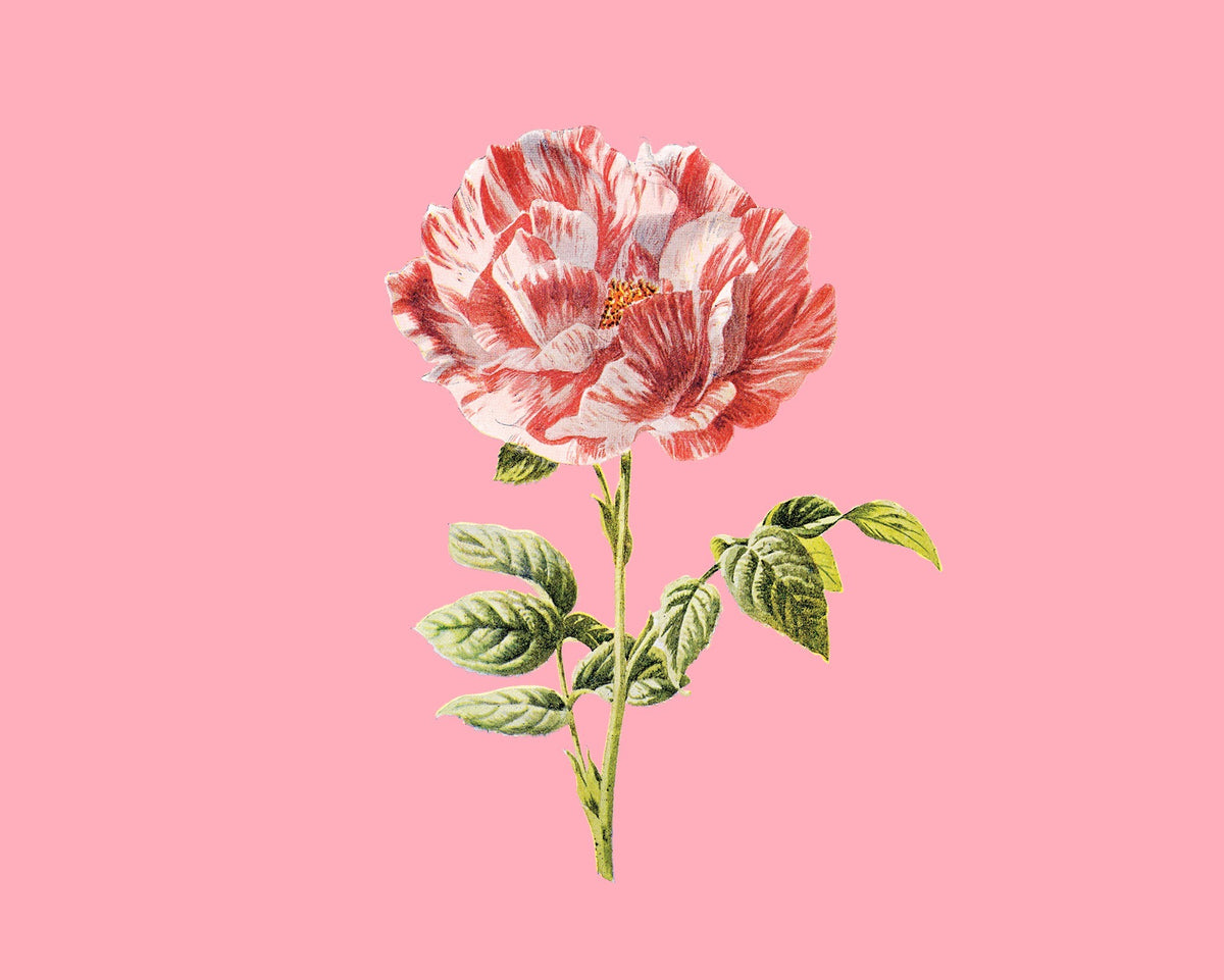 Cover Reveal & Breakdown :: Threshold – Host Publications