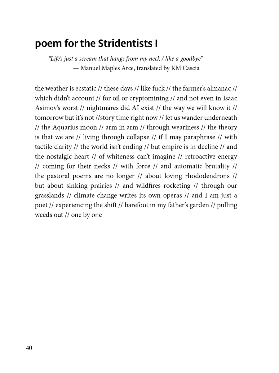 book of provocations by mónica teresa ortiz – Host Publications